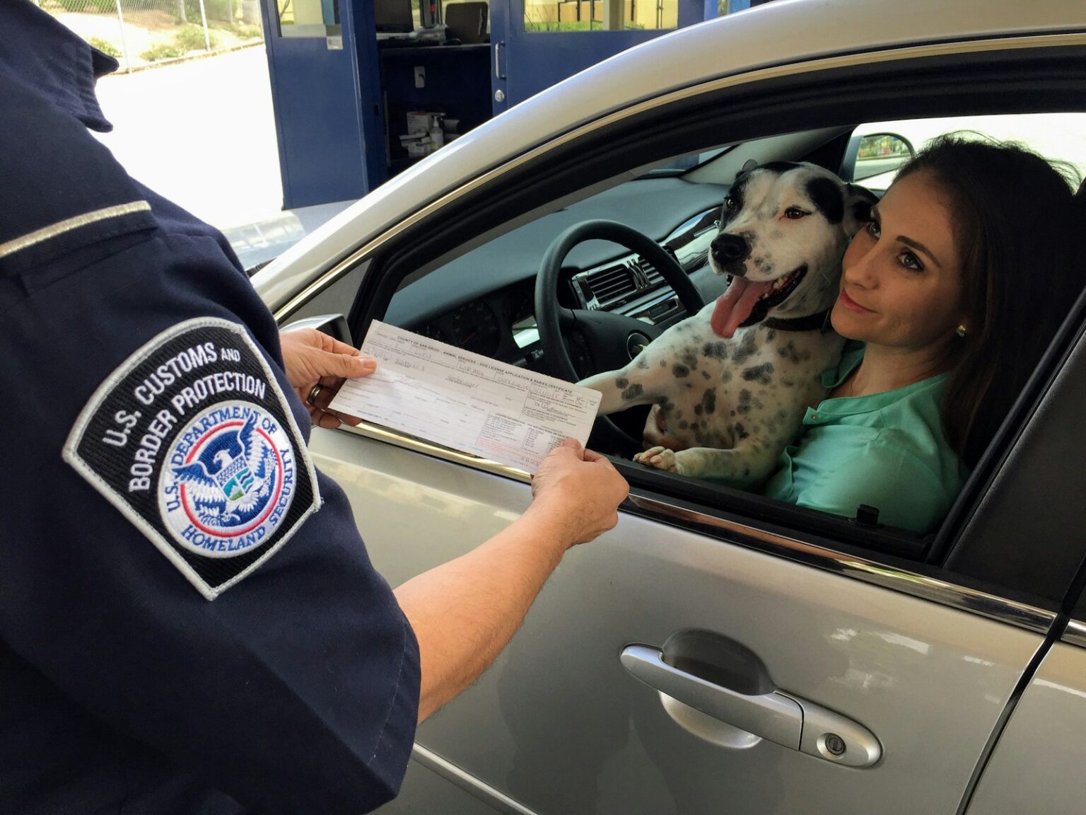Expired Driver's License Renewal Requirements (U.S.)